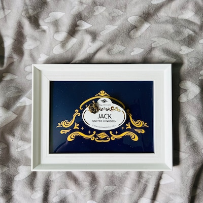 Cast Member Name Tag Display Frame and Print Casting Agency Door ...