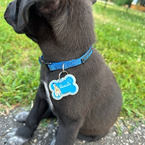 Goofy Disney Double Sided Pet Id Dog Tag Personalized for - Etsy