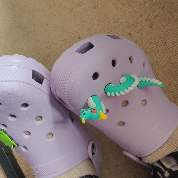 Capybara / Guinea Pig Croc Jibbitz - Etsy UK