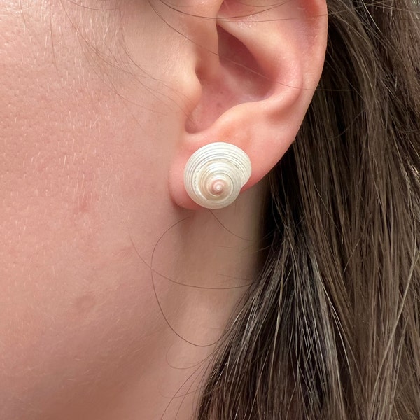 Spiral Shell Stud Earrings, Beach Shell Studs, Iridescent Shell ...