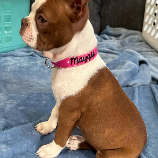 Fall Collar, Embroidered Dog Collar, Personalized Dog Collar, Geometric ...