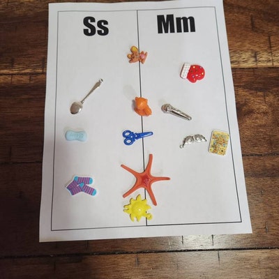 FUN at the BEACH Trinkets for I Spy, I Spy Bags, Sensory Bins ...