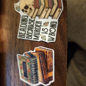 The Reader Sticker: Tarot Card Skeleton the Reader Tarot - Etsy