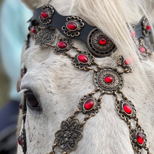 Indian Hackamore Bridle Reins Rope Side Pull - Etsy