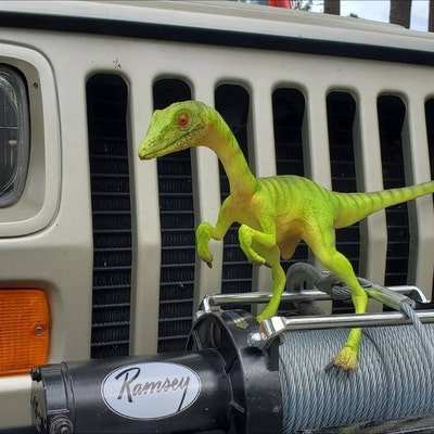 Life Size Compsognathus compy Dinosaur Prop Replica - Etsy