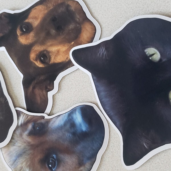 Custom Pet Face Magnet: Personalized Dog & Cat Memorial Gift - Etsy