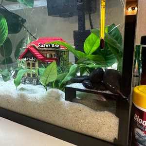 Skeleton Human Hand right Hand Prop Sculpture - Etsy