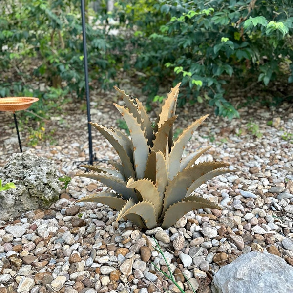 Sawtooth Agave Desert Landscaping, Zeroscaping, Xeriscape, Drought ...