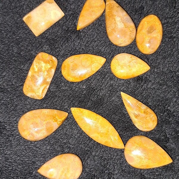 Leopard Skin Jasper Gemstone Mix Shape Leopard Jasper Cabochon Natural ...