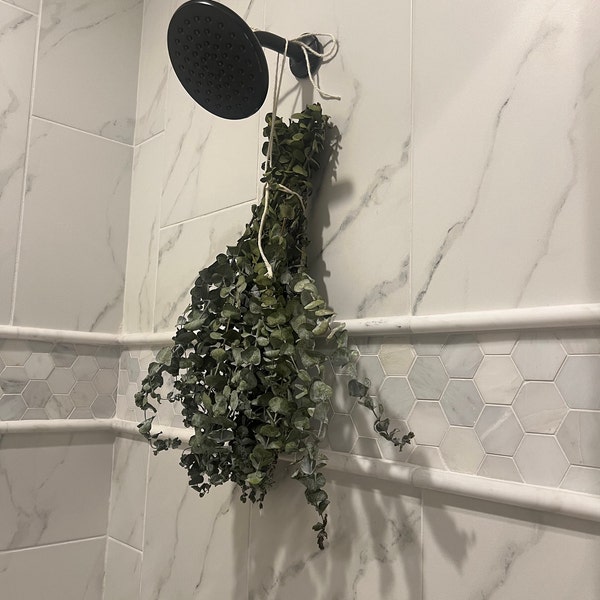 Fresh Eucalyptus Shower Bundle, Eucalyptus Shower Bundle, Indoor ...