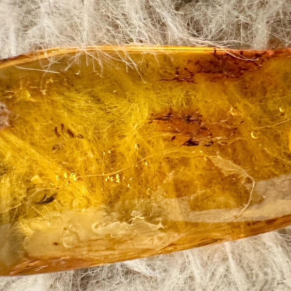 Large Amber Stone Collectors Specimen, Amber for Display, Large Palm ...
