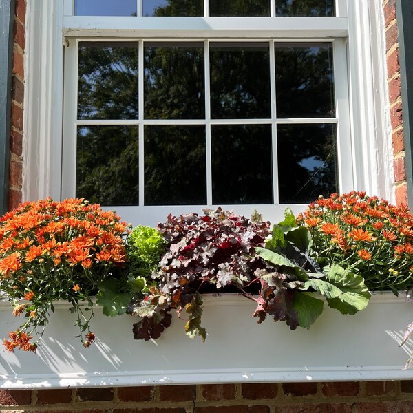 Sale Farmhouse 24" Tapered Front Window Box Paintable Made to Order ...