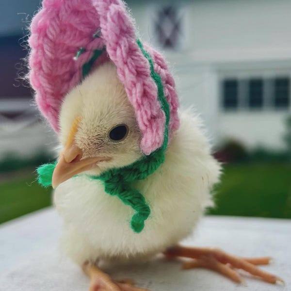 Made to Order: Knit I-cord - Crafting - Decorative Rope - Yarn - Rope ...