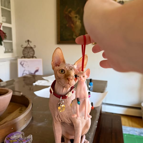 Sphynx Cat Breed Holiday Ornament - Etsy UK