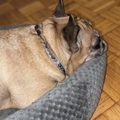 Anti Tick Collar for Dog, Em Ceramic, Sodalite and Tiger's Eye ...
