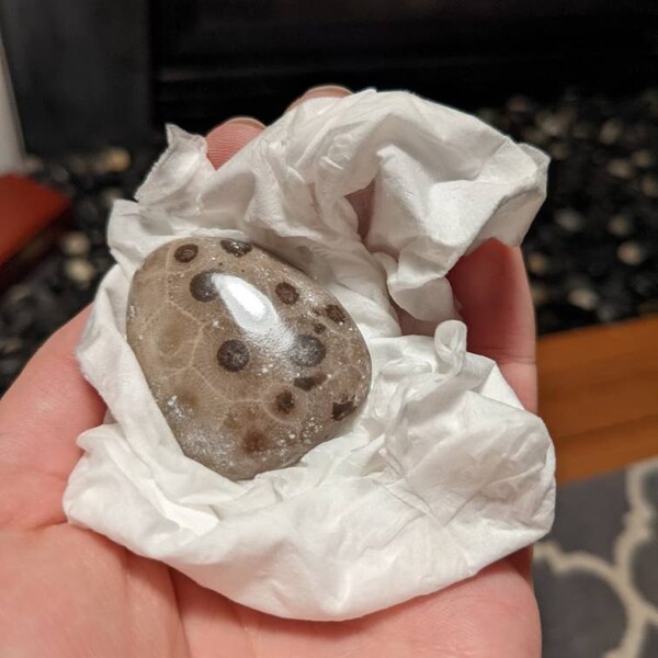 Charlevoix Stone Hair Pins Set of 2 - Etsy