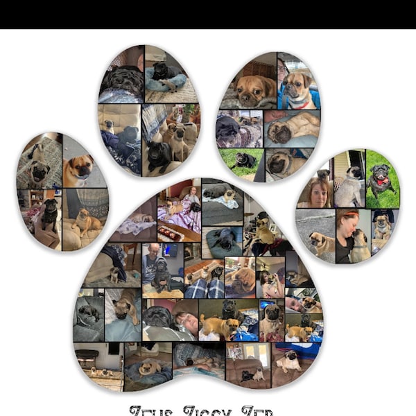 Pet Paw Photo Collage Print, Dog Paw Print Photo Canvas, Cat Photo ...