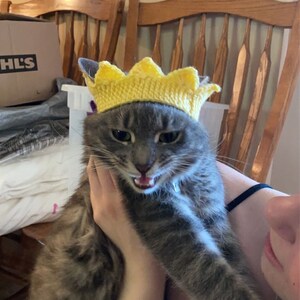 Dinosaur Hat for Cat Dinosaur Pet Costume Halloween Kitten | Etsy