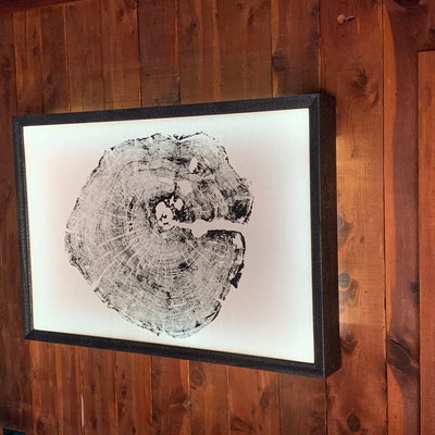 Handmade Cedar Tree Ring Art, 36X24 Inch Large Tree Stump Prints ...