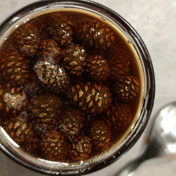 Candied Pine Cone Peel, Handmade Made in Ukraine - Etsy