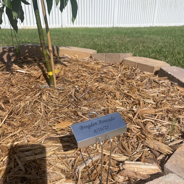 All Weather Tags for Trees or Shrubs | Custom Engraved UV Resistant ...