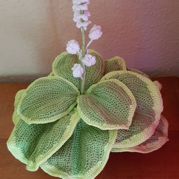 Crochet Hosta Plant Pattern: Photo Tutorial (PDF Pattern) - Etsy