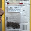 Fuzzy Gourd Seeds, Hairy Gourd, Jointed Gourd, Hạt Giống Bí Đao Chanh ...