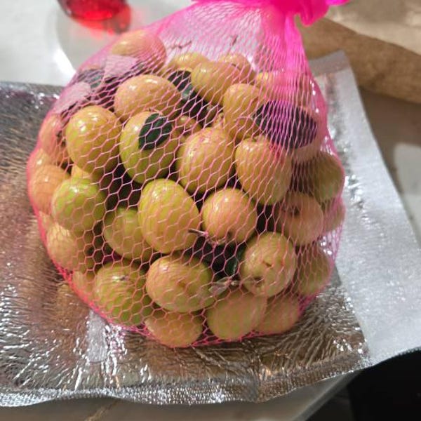 Guamúchil (pithecellobium Dulce) Seedling 1 Pt. - Etsy