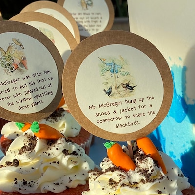 Peter Rabbit, Storybook Stickers, Baby Shower, Birthday Party, Favor ...