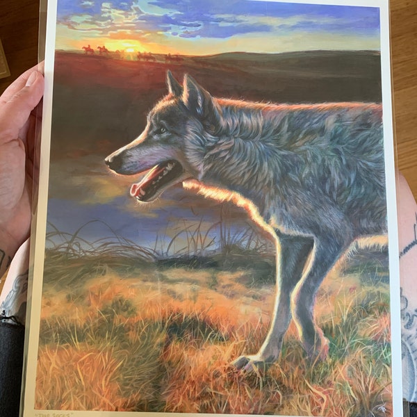 Dances With Wolves Giclee Print "two Socks" - Etsy