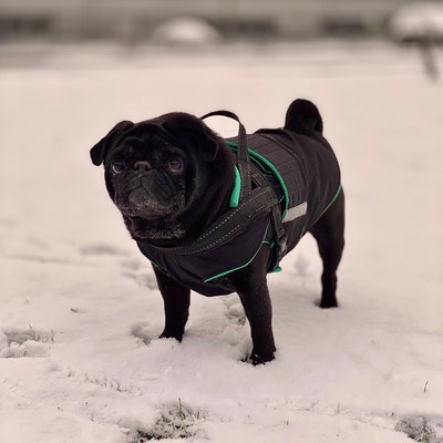 Pug Winter Dog Coat Dog Jacket With Full Belly Cover Waterproof Winter ...