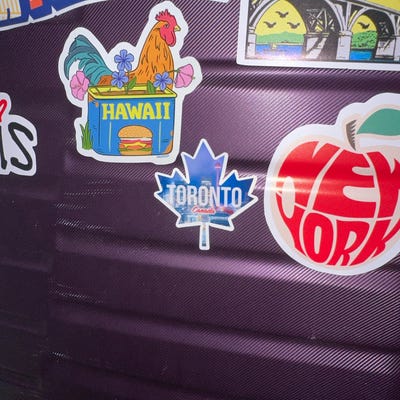 Warning Cow Sign Cow Sign Funny Cow Sign - Etsy