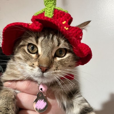 Adjustable Cute Crochet Soft Ribbon Kitten Collar Pet Costume Cat ...