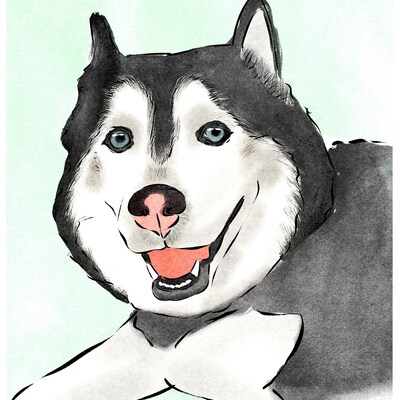 Middle High School Classroom Posters Digital Download Rules ...