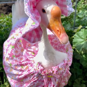 Rainy Day Goose Outfit Crochet Pattern - Etsy