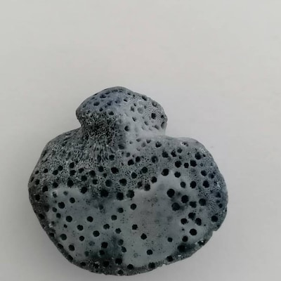 Blue Coral Tumbled Stone Blue Coral Crystal Stones protection Stone ...