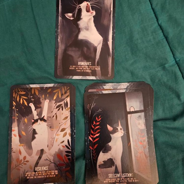 The Enlightened Cat Oracle - Purrceptive Insights for the Curious Human ...