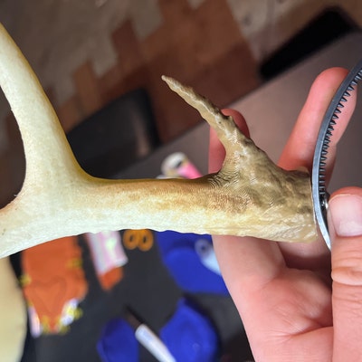 Fantasy Splintered Dragon Horns Snake Dragon 3d Printed Horns on ...