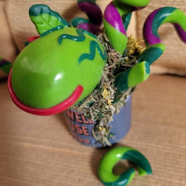 Doctor Optic's Seeing Eye Plants (miniature) - Etsy