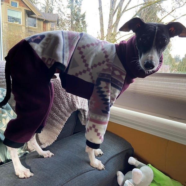 Sewing Pattern for Whippet Coat / Jacket / Waterproof - Etsy