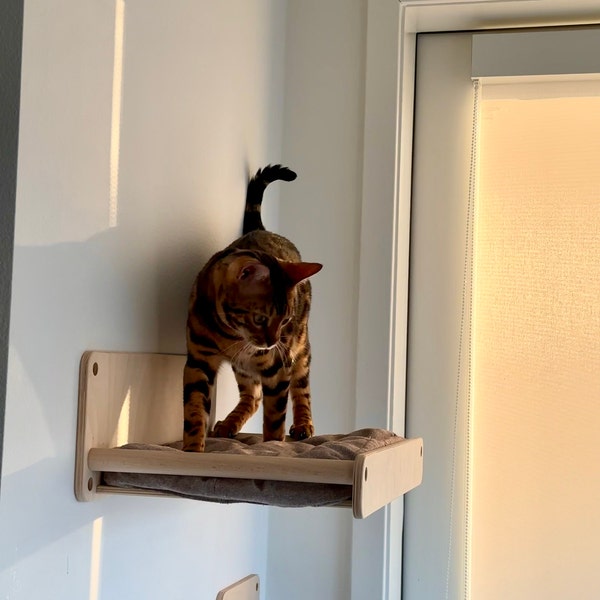 Wall Decor Cat House Modern Wall Mounted Cat Bed Cat Shelves Cat Shelf ...