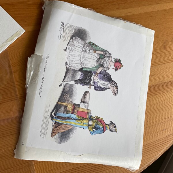 Antique French Print, Fourrures From 1922 ,french Vintage Animal Print ...