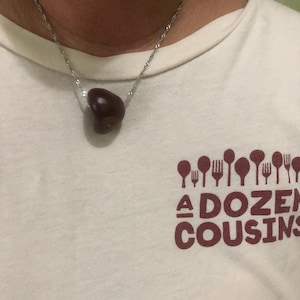 100 Real Ohio Buckeyes - Etsy