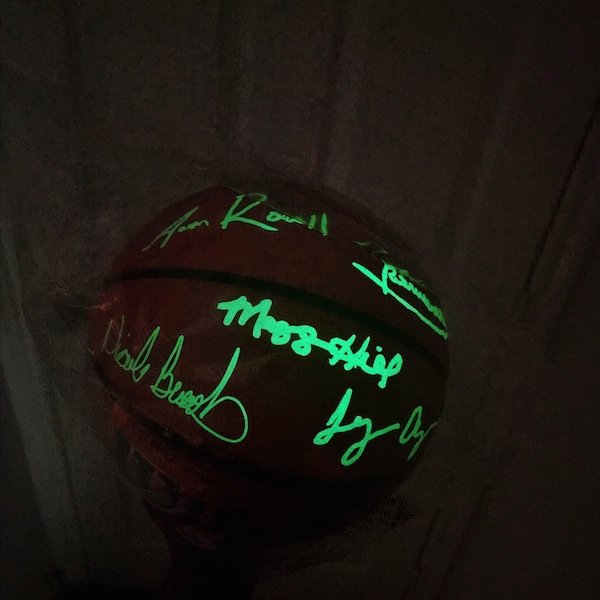 Customized Personalized Wilson Evolution Basketball Indoor Sizes 29.5 ...
