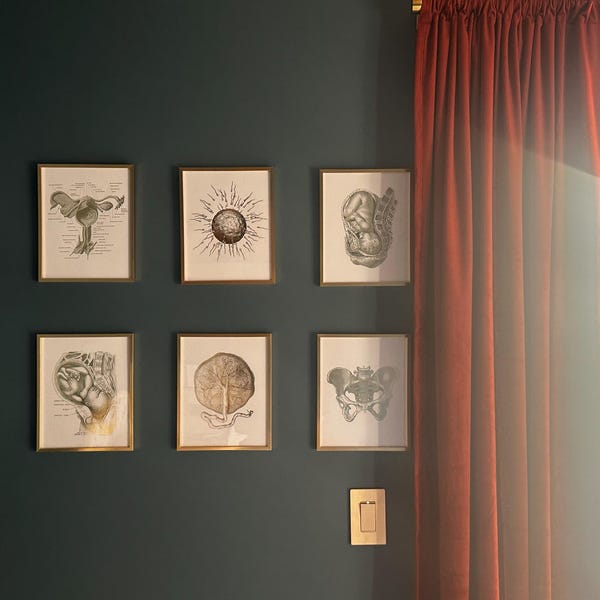 6 Botox Injection Posters Beauty Treatment Art Dermal Filler Poster ...