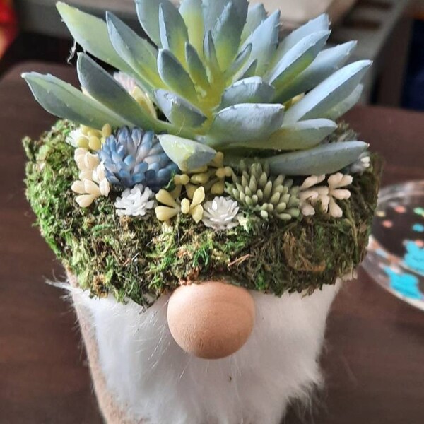 2024 Color Trend Faux Succulent Gnome - Etsy