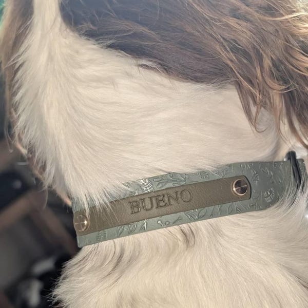 Khaki Waterproof Dog Collar | Personalised Biothane | Custom Print ...