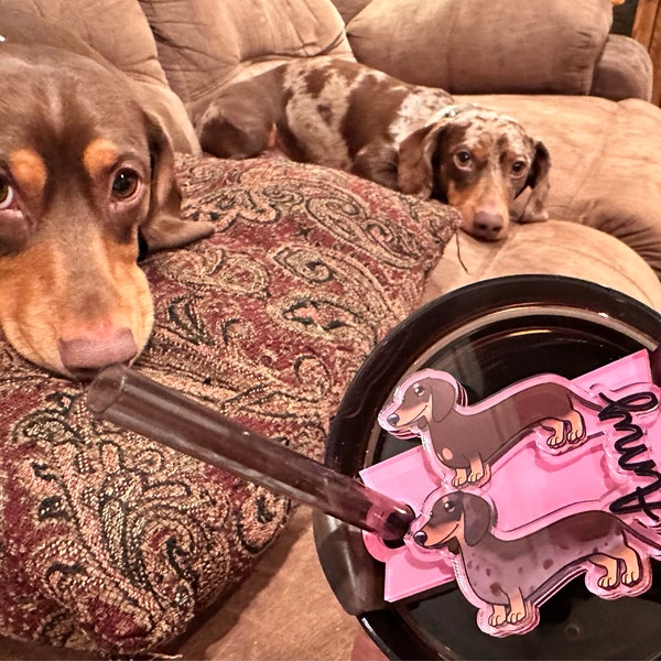 GREEK LIFE Canva Frame Templates- Customize in Canva Greek Letters - Etsy