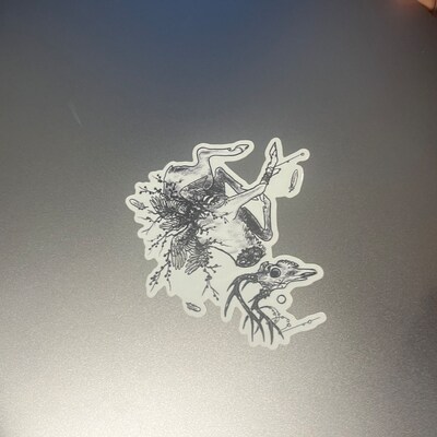 Form and Void 8x8 Fine Art Print Dark Deer Skull Darkness Creepy Spooky ...