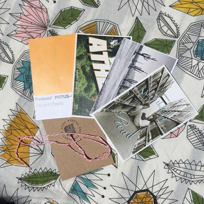 Legalize Human Composting Bumper Sticker - Etsy